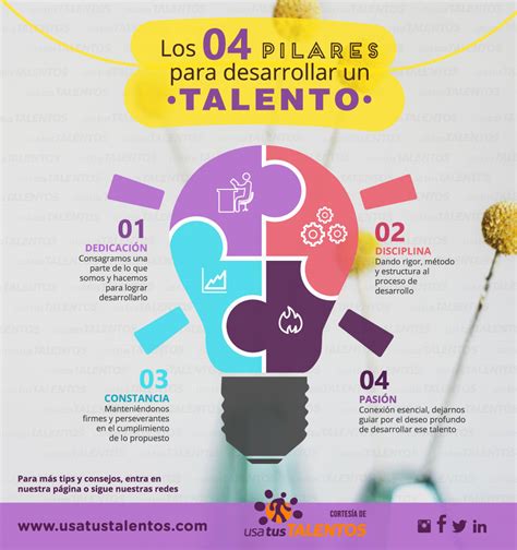 4 Pilares Para Desarrollar Un Talento Usa Tus Talentos