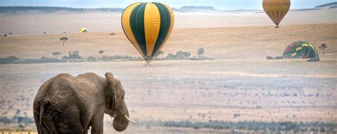 Great Migration Kenya Safari Days Kenya Wildlife Safaris Tour
