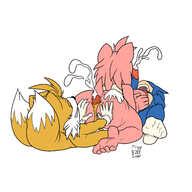 Post 3815149 Amy Rose MrGuy820 Sonic The Hedgehog Sonic The Hedgehog