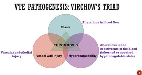 Venous Thromboembolism Flashcards Quizlet