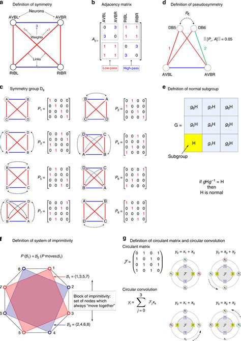group theoretical definitions automorphism symmetry groups download scientific diagram