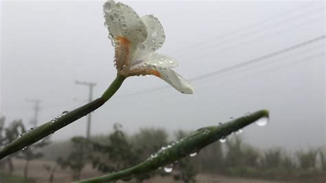 Avanço de ar seco e frio vai melhorar o tempo hoje MetSul Meteorologia