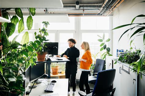Reasons Why Marketing Research Is Important To Your Business