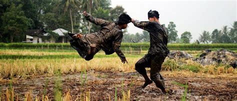 Kenali Seni Mempertahankan Diri Silat Minangkabau Package Padang