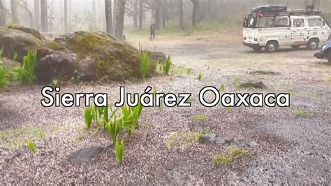 Bailar Bajo La Lluvia YouTube
