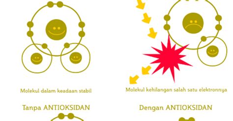 Reaksi Radikal Bebas