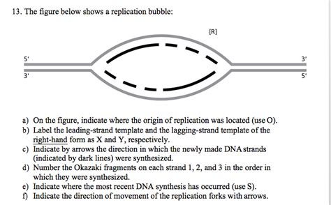 Replication Bubble