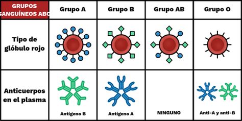 Sistema de grupos sanguíneos Labster