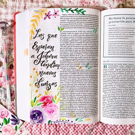 Las 3 Mejores Y Favoritas Biblias Para Mujer TOP BIBLIA