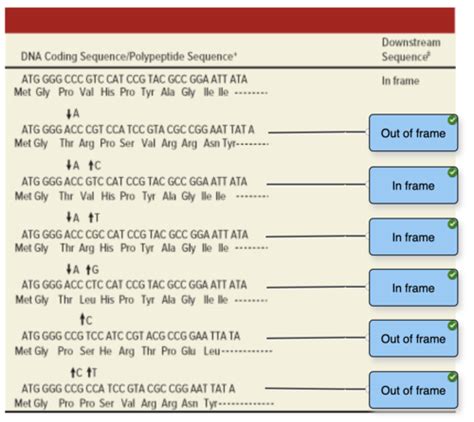 Practice Quiz Chapter Flashcards Quizlet