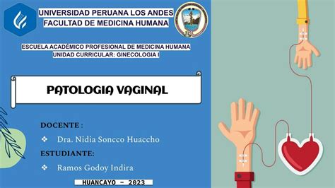 Patolog A Vaginal Indira Ramos Godoy Udocz