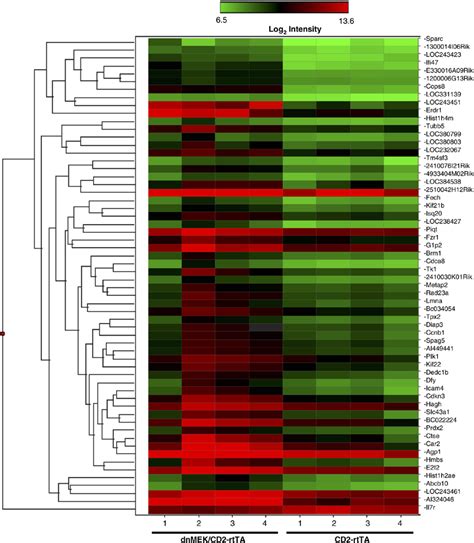 hierarchical clustering of microarray data for 60 genes that are download scientific diagram