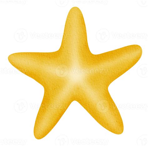 Ic Ne Toile De Mer Aquarelle Png