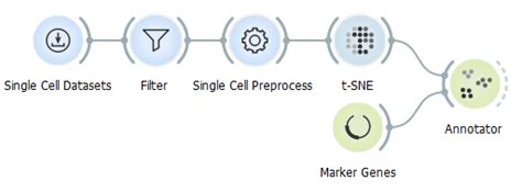 scorange automatic cell type annotation single cell analysis