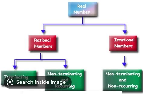 Flow Chart Of Rational Numbers Brainly In