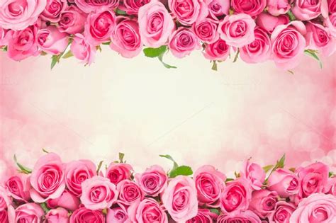 Rose For Love Romantic Background An Abstract Photo By Cozine