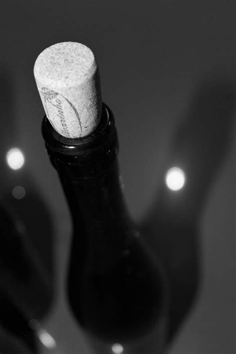 Fotos gratis mano ligero en blanco y negro fotografía vaso