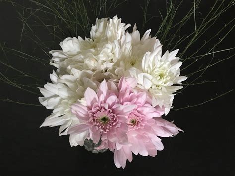 Witte Bloemen Roze Roos Gratis Foto Op Pixabay Pixabay