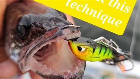 90 Minute Limit Jigging Summer Walleyes Walleyefishing Fishing