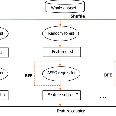 the main procedure of the random forest backward feature elimination download scientific
