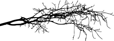 Simple Tree Branch Silhouettes Png Transparent Onlygfx