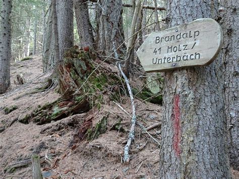 Hier Gehts Hoch Beim Letzten Mal Verpasst Fotos Hikr Org