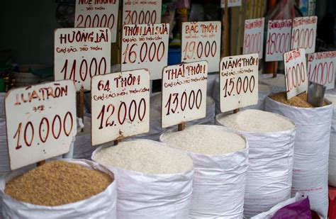 Harga Beras Meroket Jelang Pemilu 2024 Pedagang Tertinggi Sepanjang