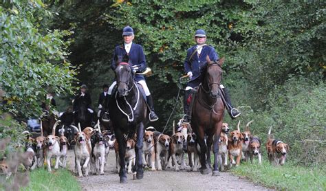 Bye bye la chasse à courre le samedi 30 mars 2019