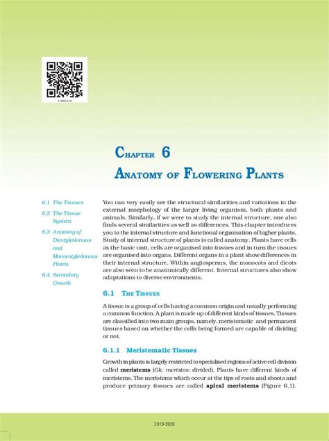 Ncert Book Class Biology Chapter Anatomy Of Flowering Plants Pdf