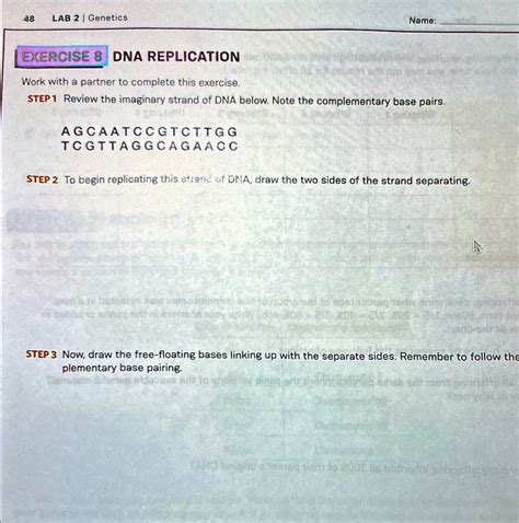 SOLVED 48 LAB 2 Genetics Name EXERCISE 8 DNA REPLICATION Work With