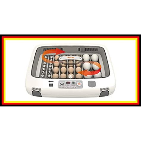 RCOM 50 MAX Brutmaschine MOD Im Brutmaschine Vergleich 2024