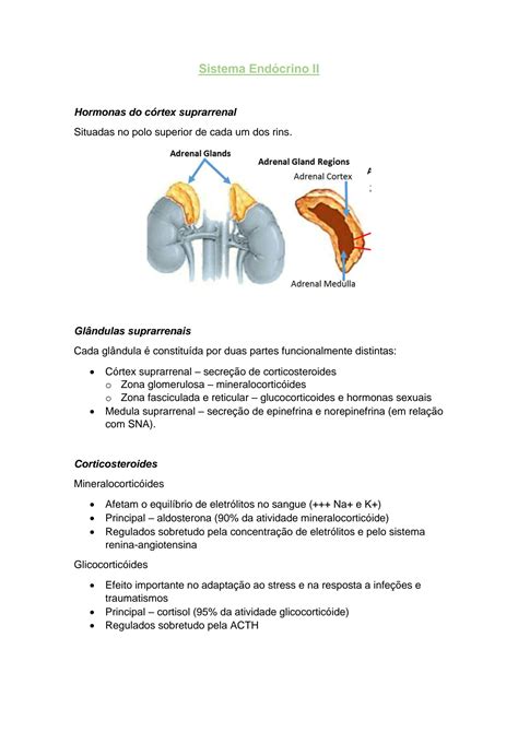 SOLUTION Sistema endócrino II Studypool