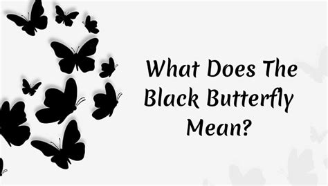 Black Butterfly Meaning Spiritual Symbolism For Cultures