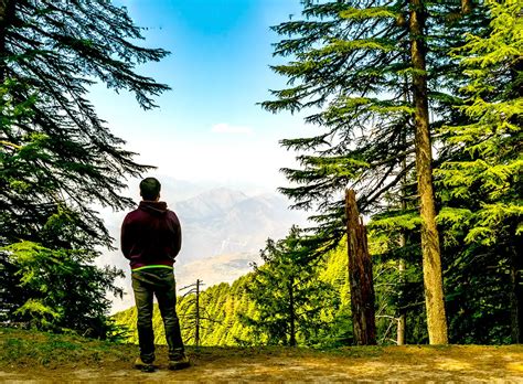 4 Days 3 Nights Hotel Mohan Palace Dalhousie Weekend Tour Package