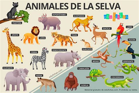 Animales de la Selva para Niños Fichas Fotos y Recortables GRATIS 2023