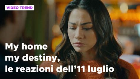 My Home My Destiny Il Riassunto E Le Reazioni Della Puntata Dell 11