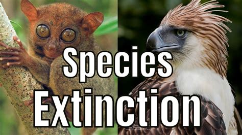 Species Extinction Causes Of Species Extinction Grade Youtube