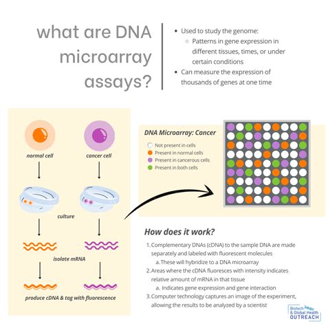 DNA Microarray Assays Biotech Global Health Outreach