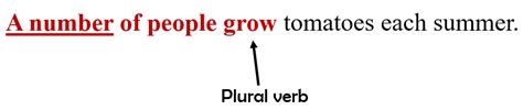 Gul Mohar Class English Grammar Subject Verb Agreement Vs