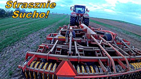 Uprawa Bezorkowa Zboże Po Zbożu Zostałem Tatą Po Raz Kolejny YouTube