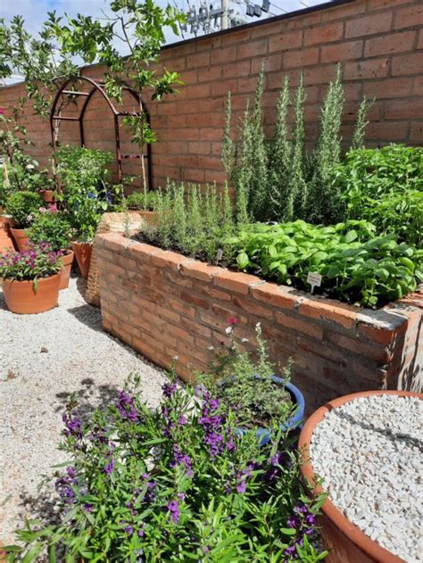 3 dicas infalíveis para fazer Horta em Casa Portal Loft