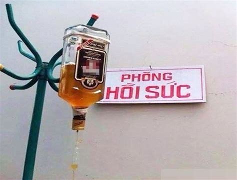 Nh Ch V R U Bia H I H C B O Nh T H Nh Tinh Eu Vietnam