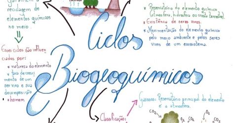 E E ROMEU MONTORO 1º Ano Ensino Médio PEI ATIVIDADES Ciências suas