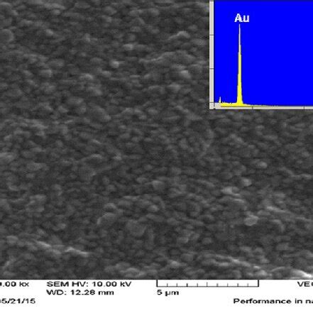 EDS SEM Micrographs Of 100 Nm Gold Thin Films At 10 00kx SEM