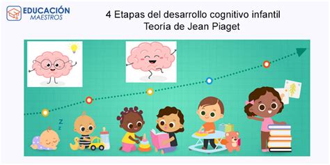 Etapas De Jean Piaget Infoupdate Org