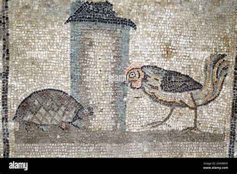 Basilica Patriarcale Di Aquileia Pavimento A Mosaico Con Simbolismo