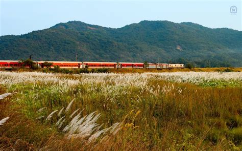 Central Railway On Twitter RT KonkanRailway Train Journeying