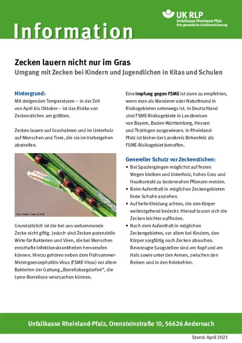 Erste Hilfe In Kitas Bildungsportal Der Unfallkasse Rheinland Pfalz