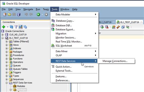 Oracle Sqldeveloper Install Rest Data Services Not Available In SQL