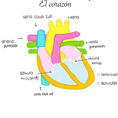 1 115 Me Gusta 0 Comentarios La Medicina Relativa